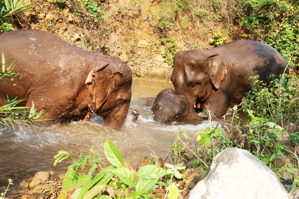 14 Days CAMBODIA EXPLORER - Kambuja Voyages
